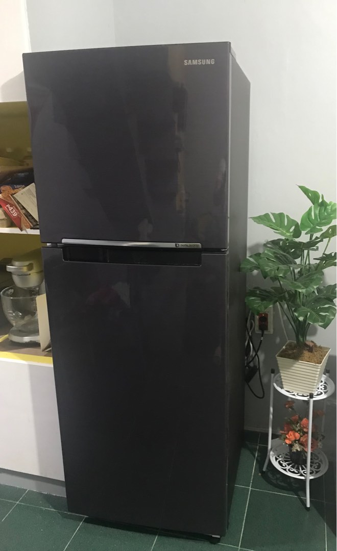 Samsung inverter refrigerator, TV & Home Appliances, Kitchen Appliances ...