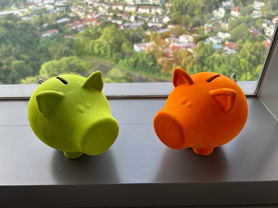 Set of 2 - Salt & Pepper Oink Money Bank, Furniture & Home Living, Home ...