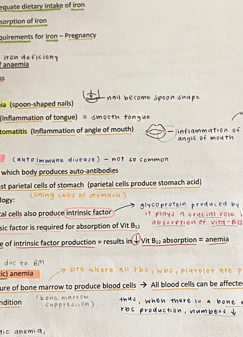 anaemia notes (nursing), Hobbies & Toys, Books & Magazines, Textbooks ...