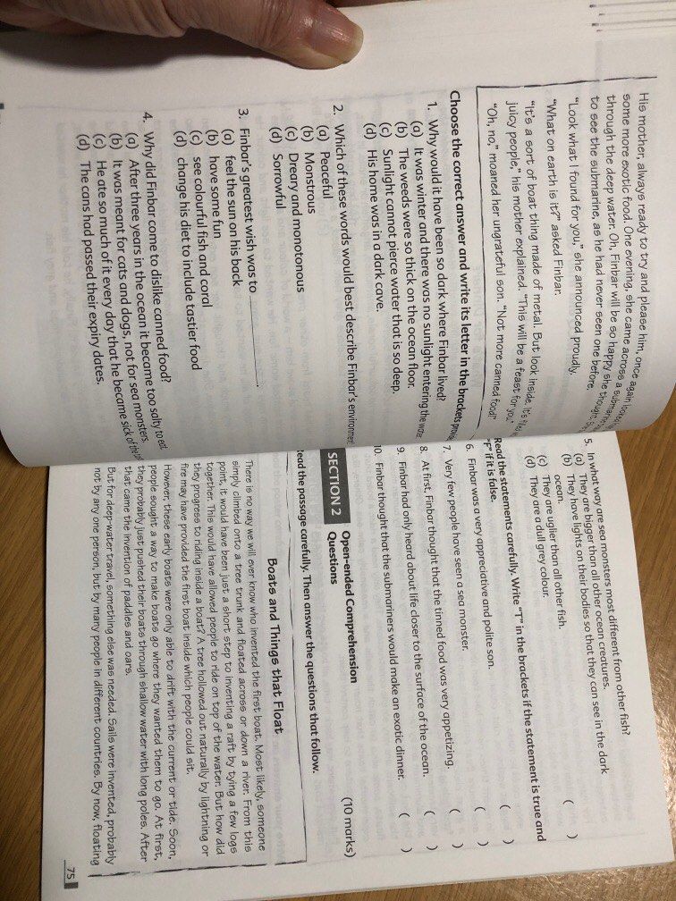 Comprehension Graphic Stimulus Cloze Primary 6 P6 Learners Assessment ...