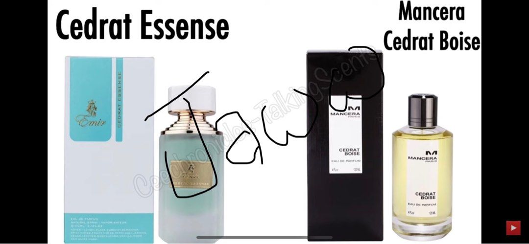 *Decants* Paris Corner Pendora Scents Clones for Designer/Niche ...