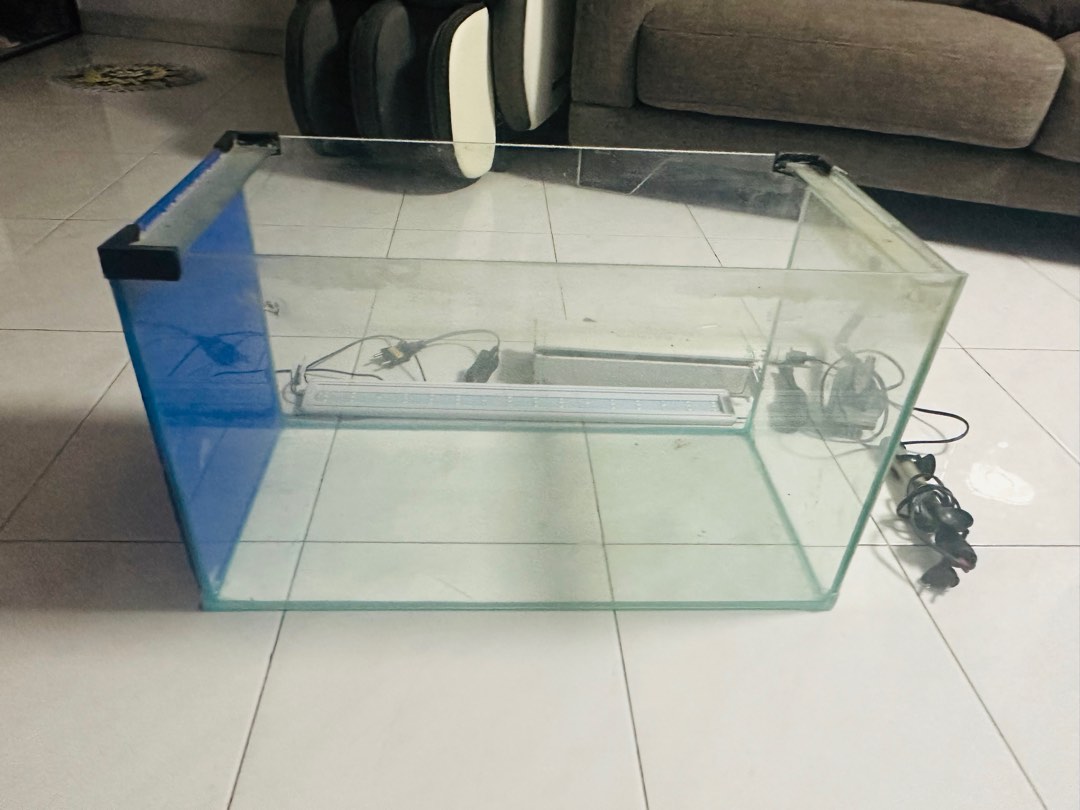 Fish tank 60cm x 30cm x 36cm with Free Accessories, Pet Supplies, Homes ...