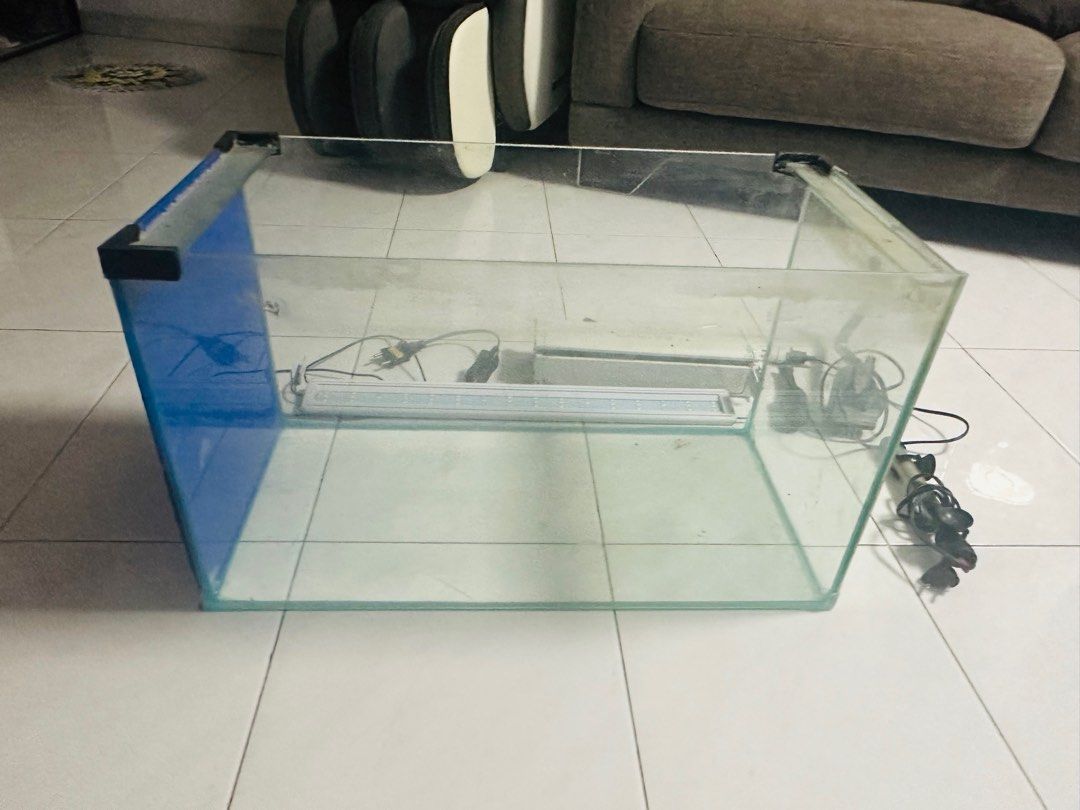 Fish tank 60cm x 30cm x 36cm with Free Accessories, Pet Supplies, Homes & Other Pet Accessories ...
