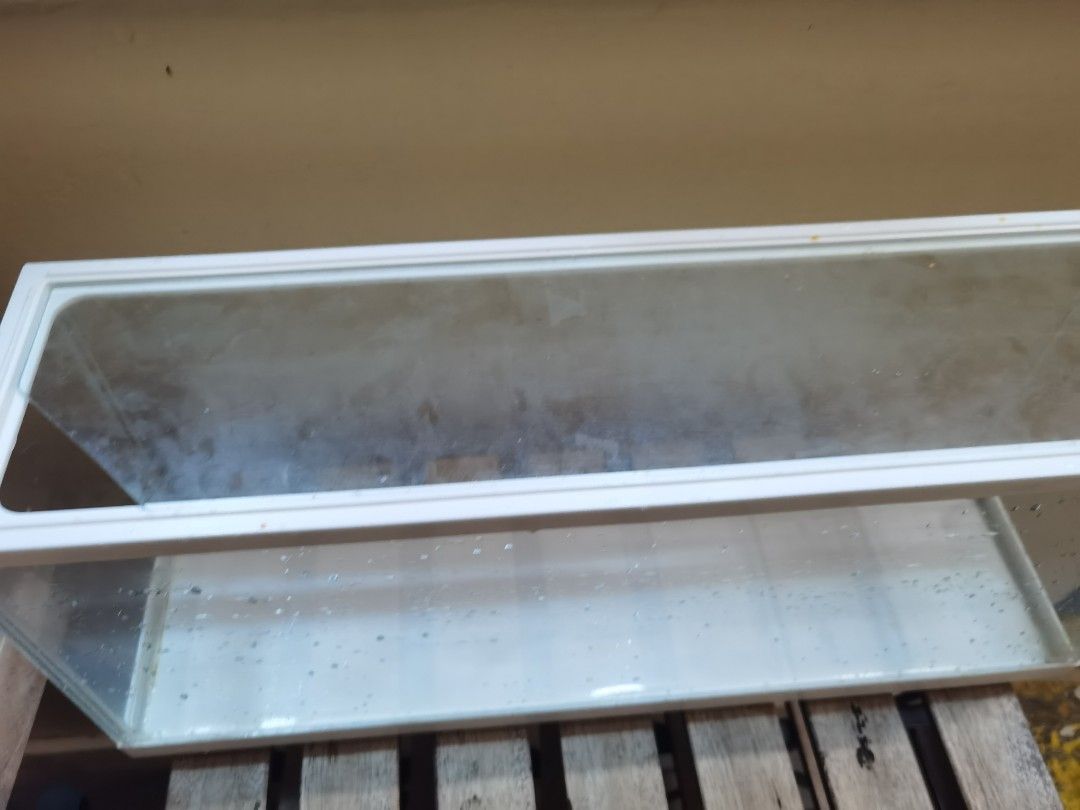 Gex 60cm slim long tank at Yishun, Pet Supplies, Homes & Other Pet Accessories on Carousell