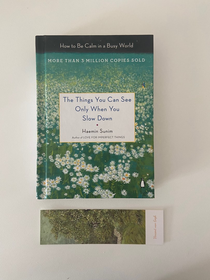 HARD COVER - The things only you can see when you slow down book ...