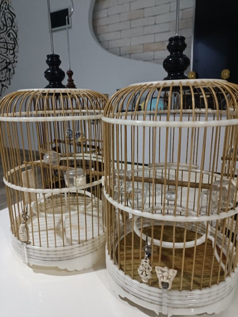 Mata putih malaka cage, Pet Supplies, Homes & Other Pet Accessories on ...