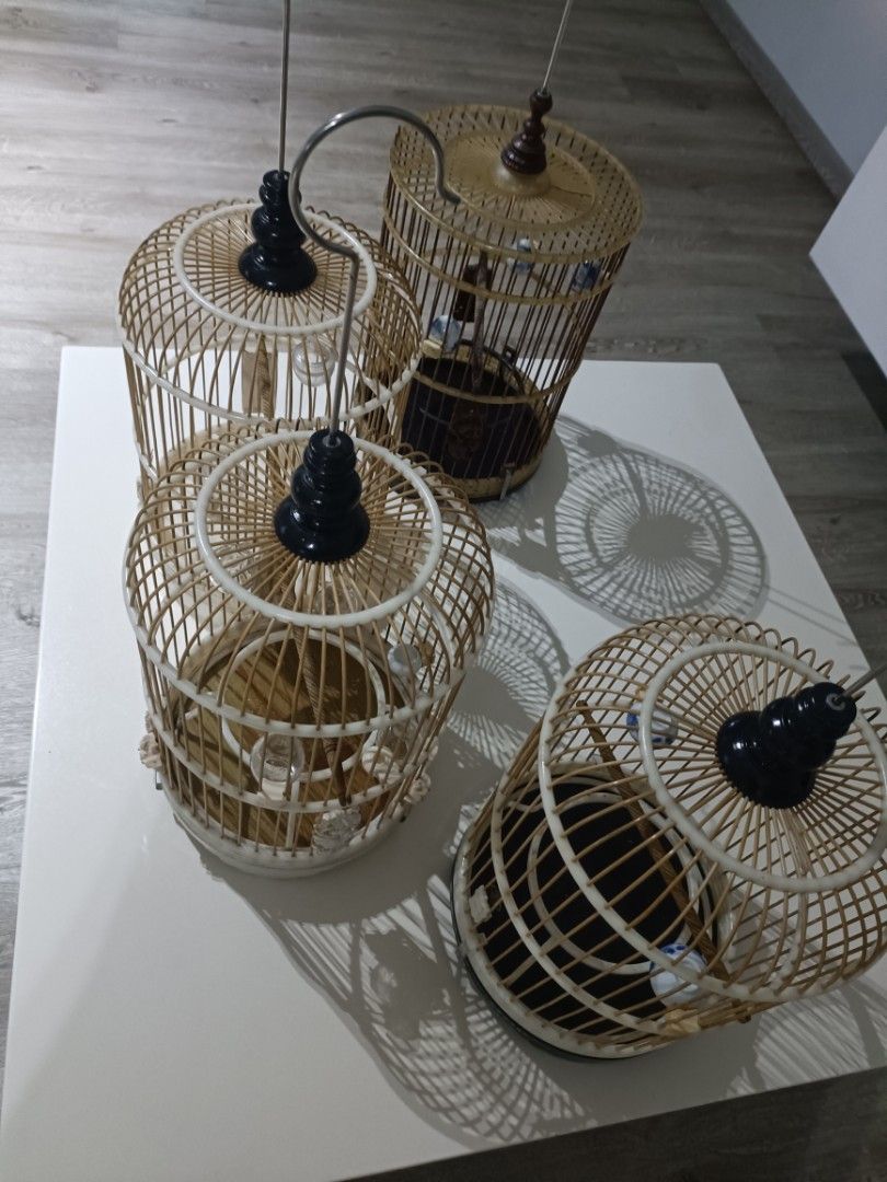 Mata putih malaka cage, Pet Supplies, Homes & Other Pet Accessories on ...