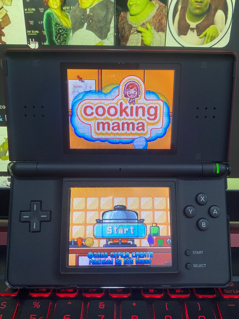 Red Nintendo DS Lite, Video Gaming, Video Game Consoles, Nintendo on ...