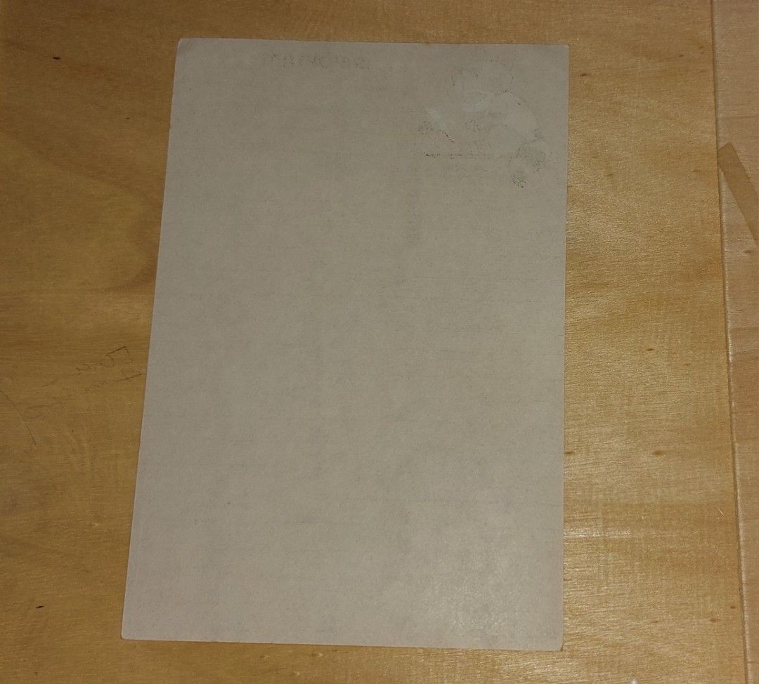 Vintage 1980 Hallmark Cards Shirt Tales Rick Raccoon Typewriter Typing ...