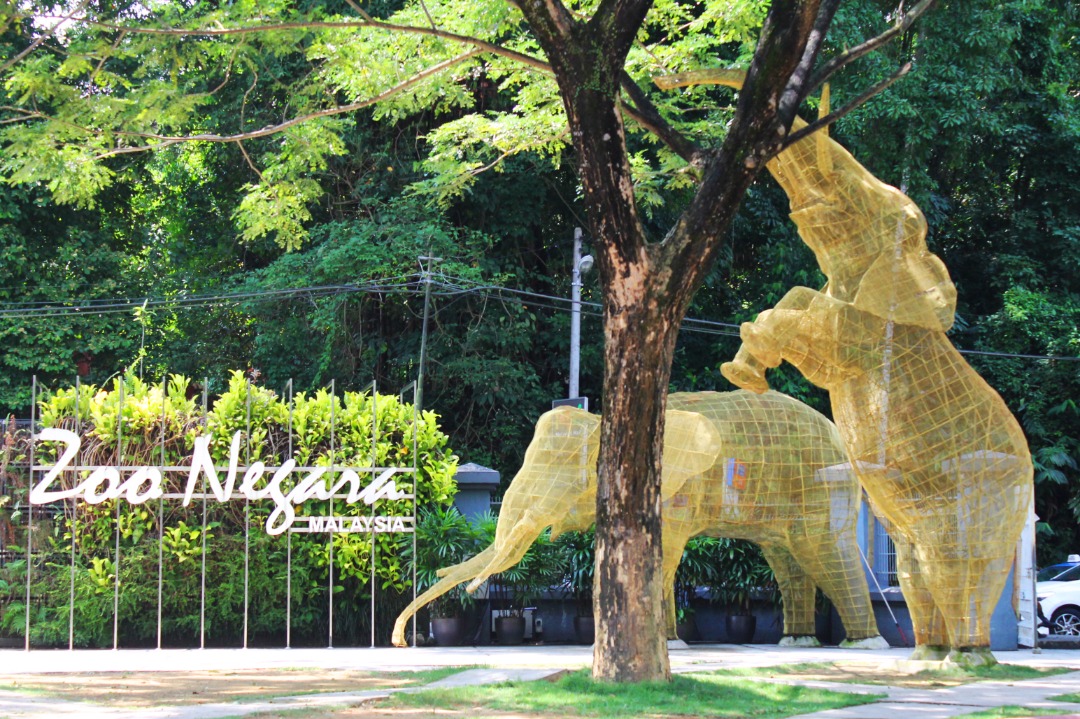 Zoo Negera Malaysia, Tickets & Vouchers, Local Attractions & Transport ...