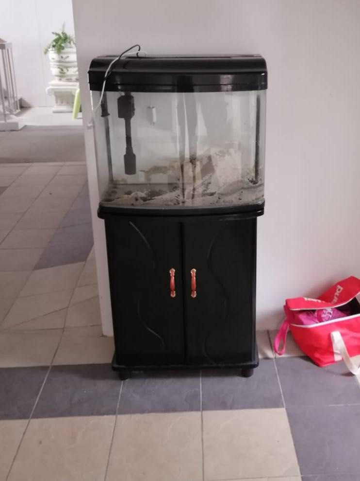 2FT Fish Tank., Pet Supplies, Homes & Other Pet Accessories on Carousell