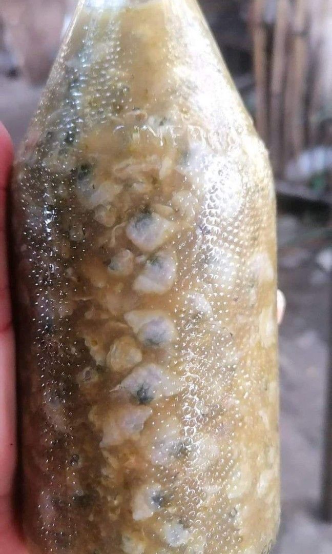 BAGOONG UNOK FROM ILOCOS, Food & Drinks, Spice & Seasoning on Carousell