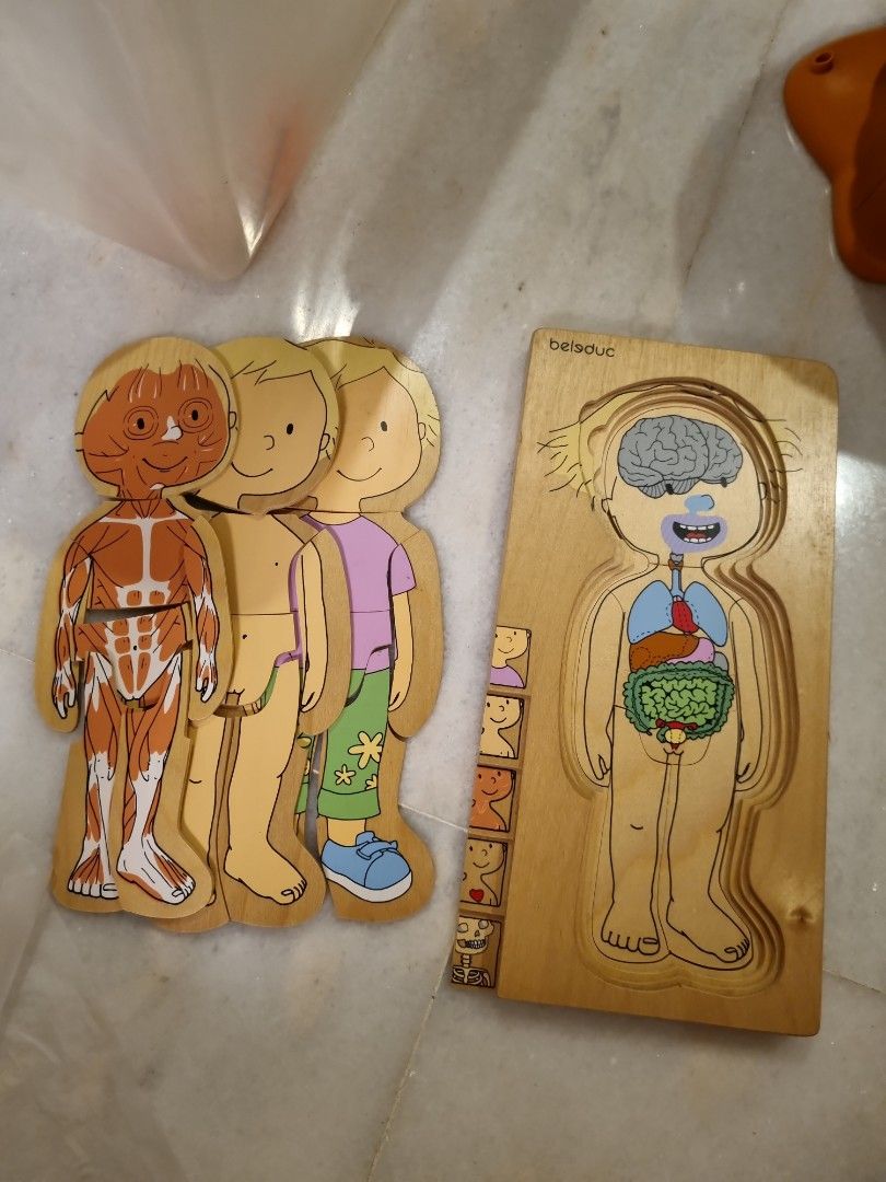 Beleduc Childrens 5 layer body anatomy wooden puzzle, Hobbies & Toys ...