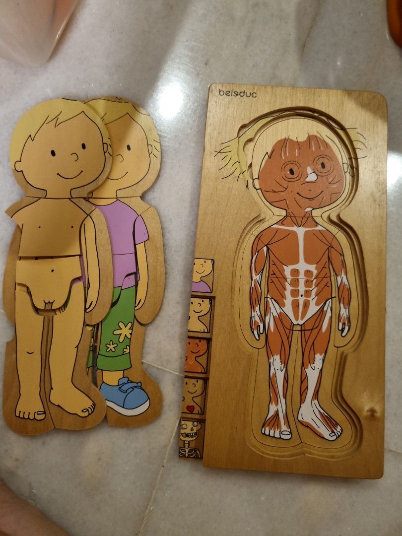 Beleduc Childrens 5 layer body anatomy wooden puzzle, Hobbies & Toys ...
