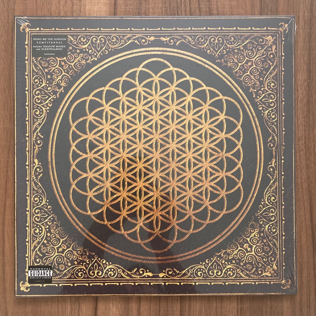 Bring Me The Horizon - Sempiternal vinyl, Hobbies & Toys, Music & Media ...