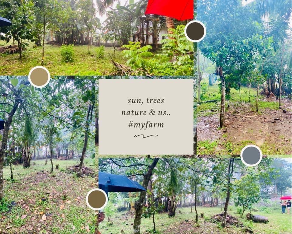FARM LOT, Property, For Sale, Lot on Carousell