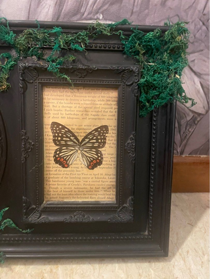 Gothic rustic frame with 3 x butterfly specimen, Furniture & Home ...
