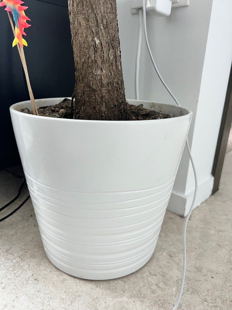Ikea Muskot Plant Pot 29cm - Large Pot, Furniture & Home Living ...
