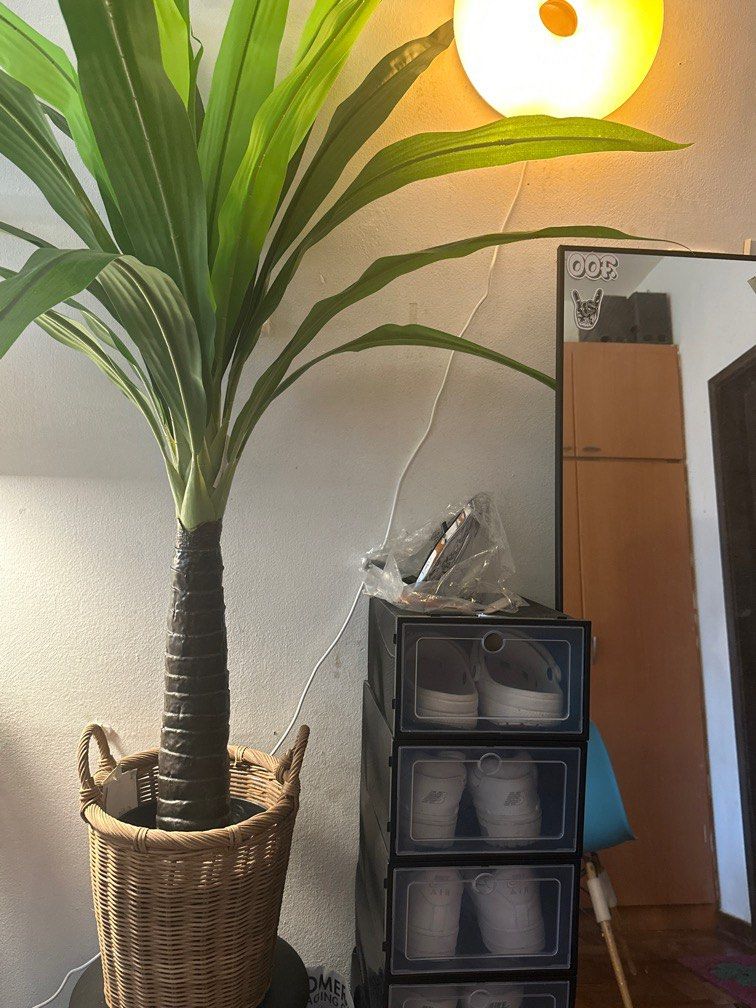 Ikea Plastic Plant Fejka, Furniture & Home Living, Home Decor ...