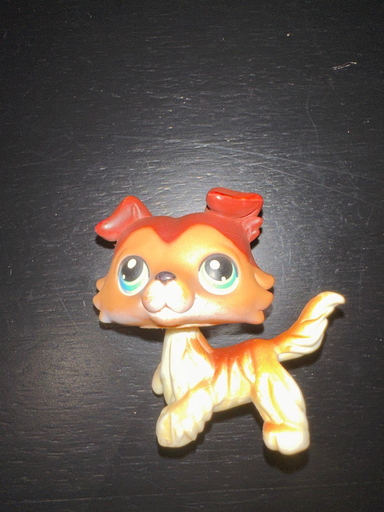 lps littlest pet shop, Hobbies & Toys, Toys & Games on Carousell
