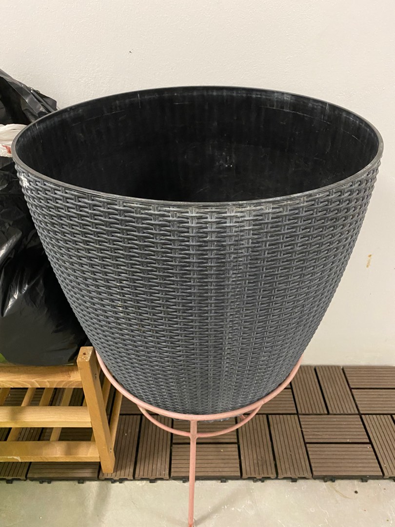 Plant pot, Furniture & Home Living, Gardening, Pots & Planters on Carousell
