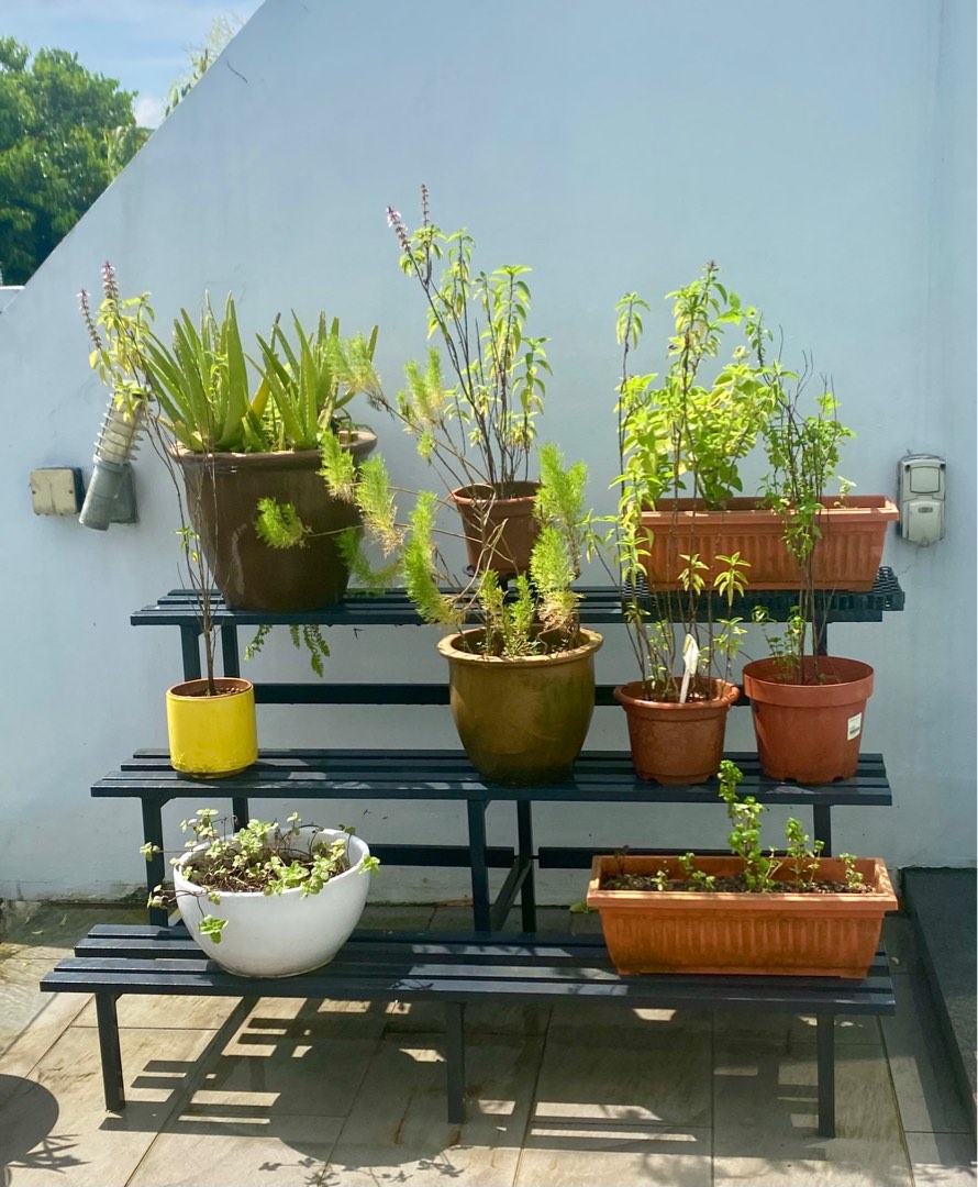 Solid Plant rack multi-layer, Furniture & Home Living, Gardening, Pots ...