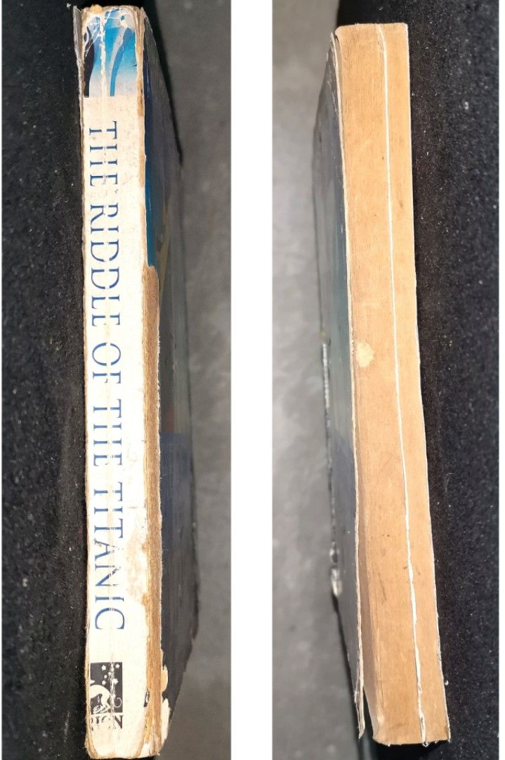 The Riddle of the Titanic by Robin Gardiner & Dan Van Der Vat, Hobbies ...