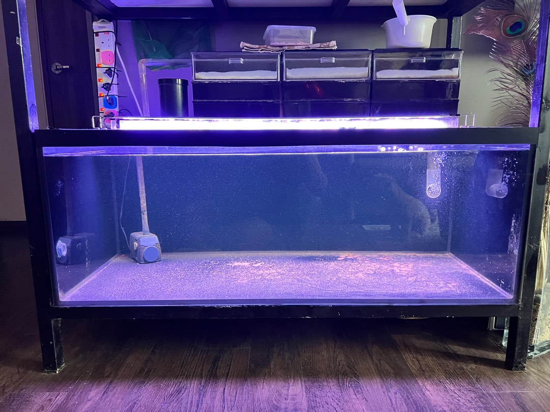 4ft fish tank. Plug and play set, Pet Supplies, Homes & Other Pet ...