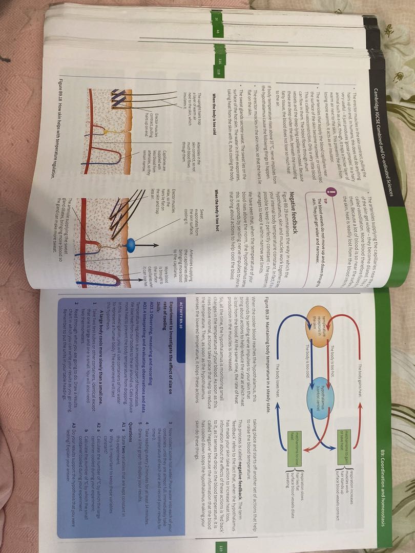 Cambridge Igcse Coordinated Combined Sciences Textbook Hobbies And Toys