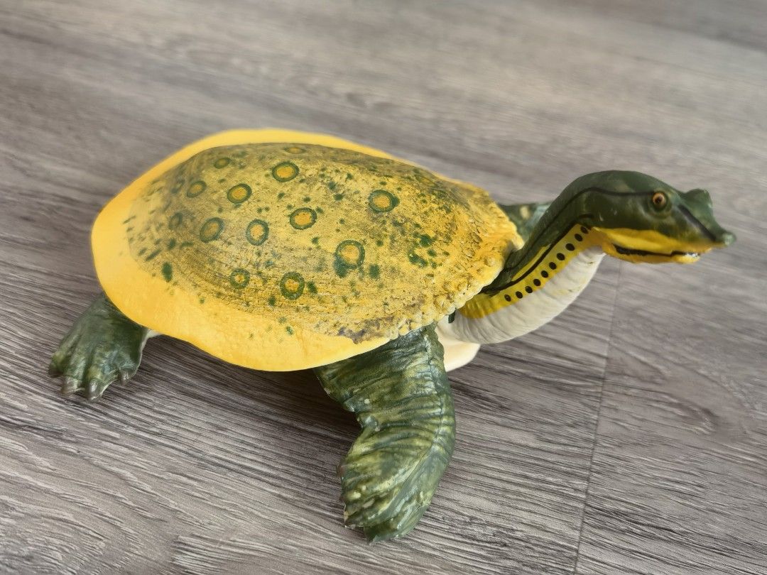 Large Size Realistic Terrapin/Turtle Toy Figurine, Hobbies & Toys, Toys ...