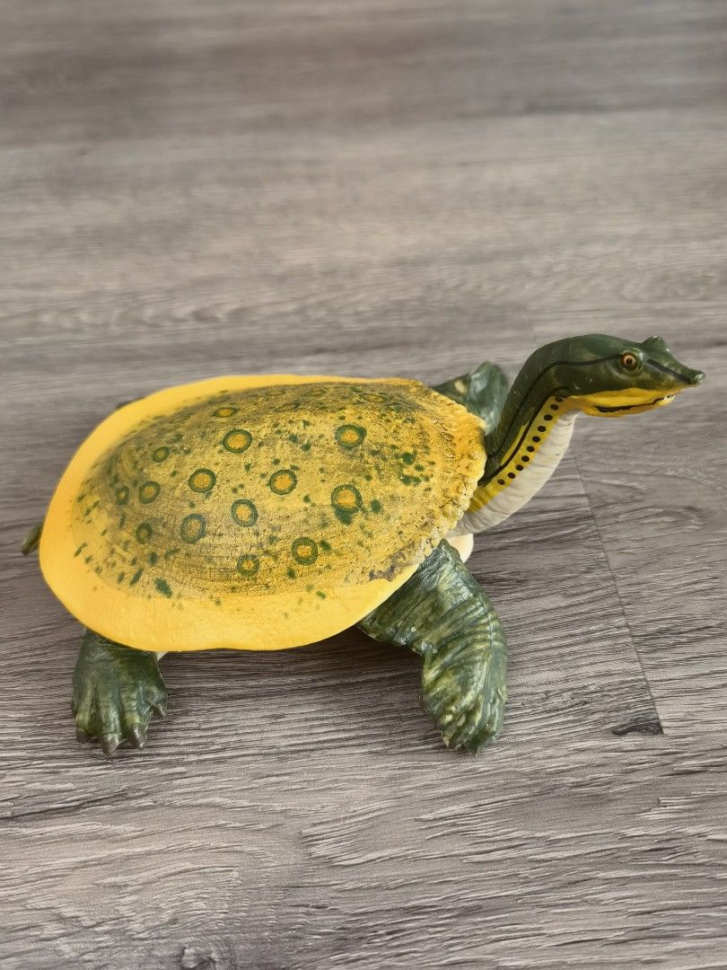 Large Size Realistic Terrapin/Turtle Toy Figurine, Hobbies & Toys, Toys ...