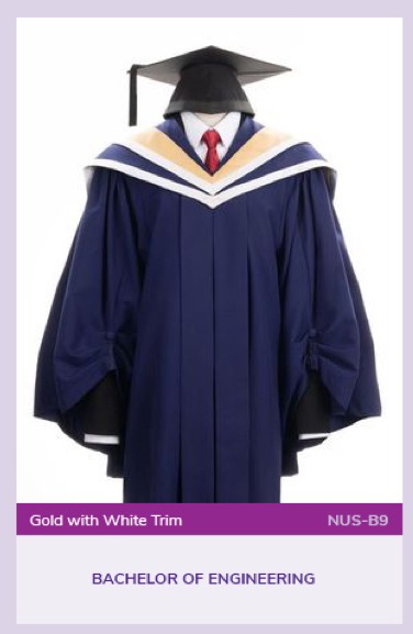 NUS Graduation Gown (Engineering, L size), Women's Fashion, Dresses ...