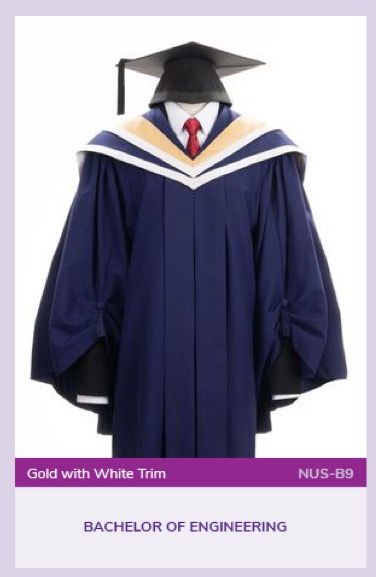 NUS Graduation Gown (Engineering, L size), Women's Fashion, Dresses ...