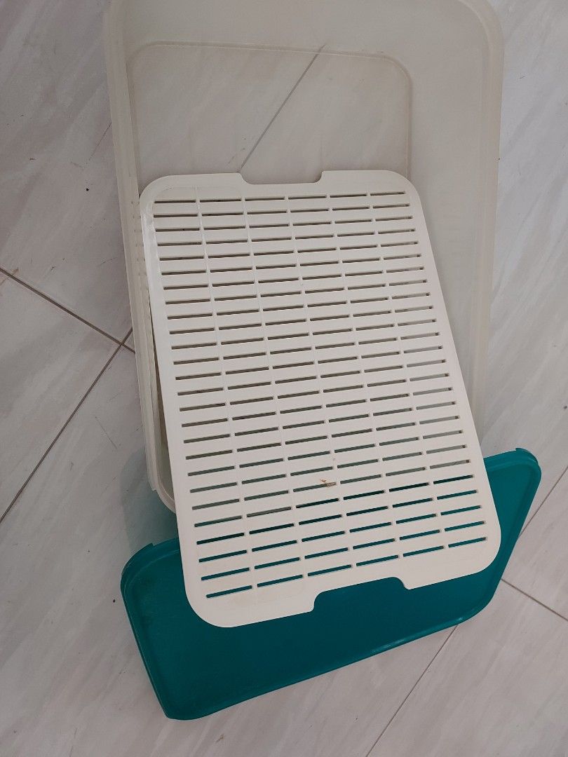 Tupperware Vegetable Storage Box, Furniture & Home Living, Kitchenware ...