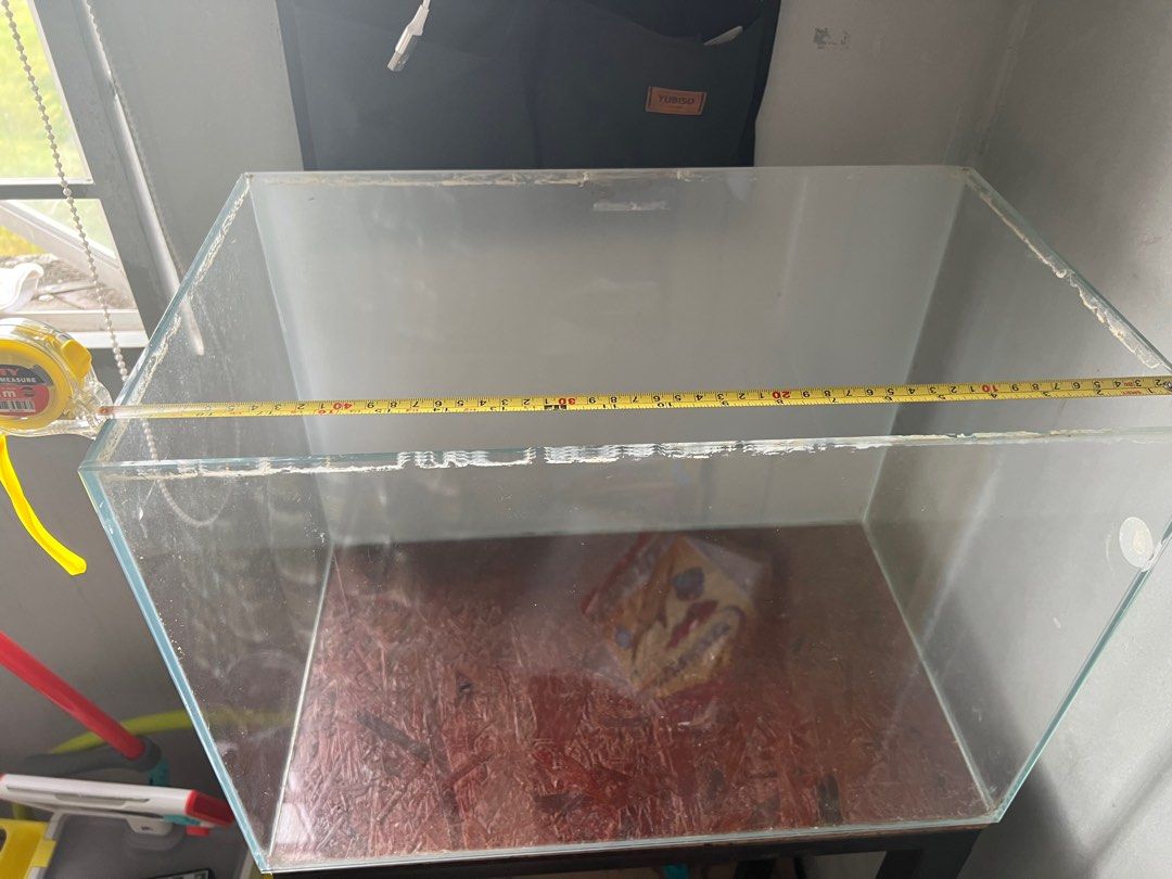 Aquascape tank crystal clear, Pet Supplies, Homes & Other Pet ...