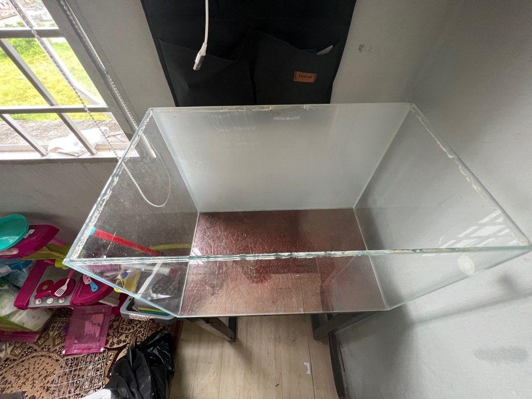 Aquascape tank crystal clear, Pet Supplies, Homes & Other Pet ...