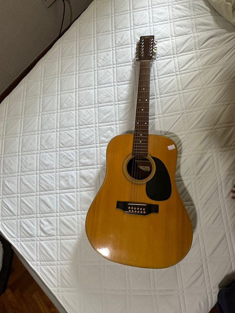 Aria Vintage Guitar 12 string ( Made in Japan) moving out sale, Hobbies ...