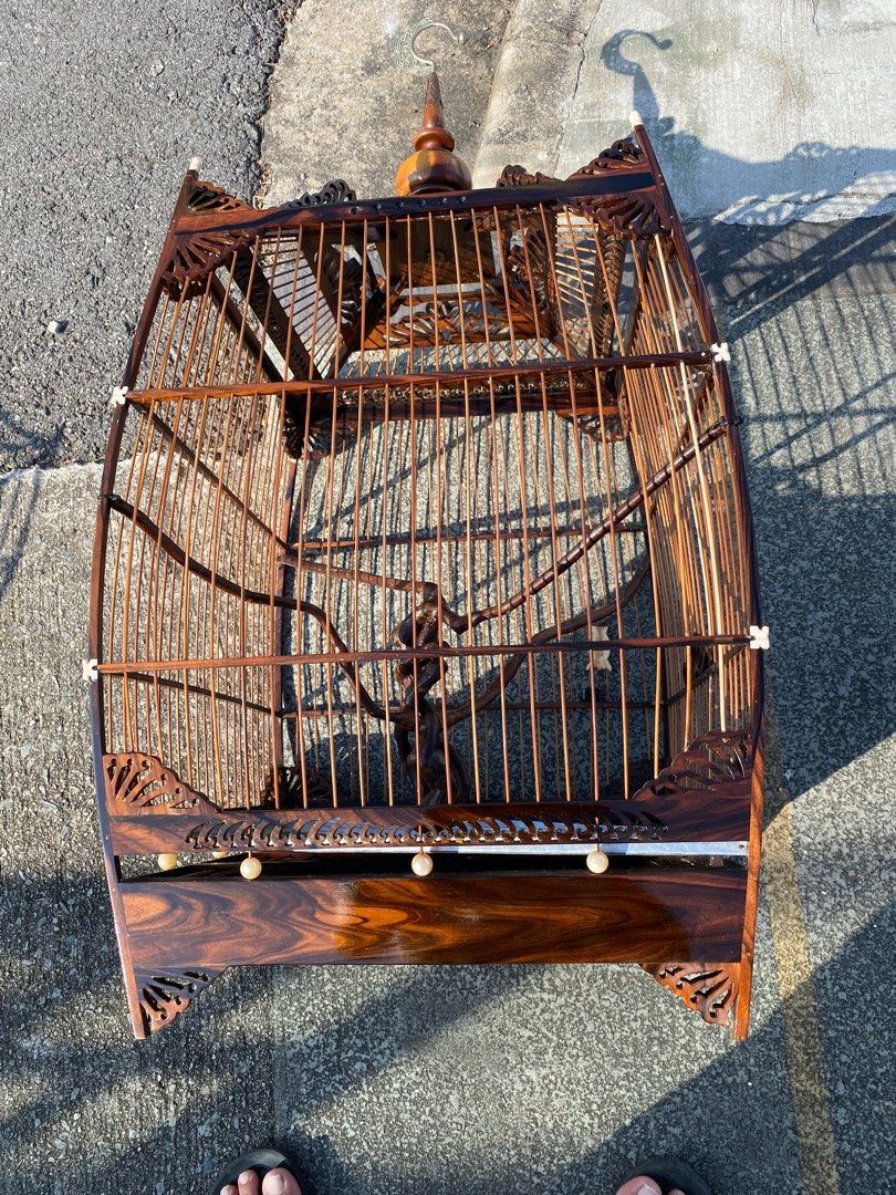 Bird cage Sq cage 15 in with gaya, Pet Supplies, Homes & Other Pet ...