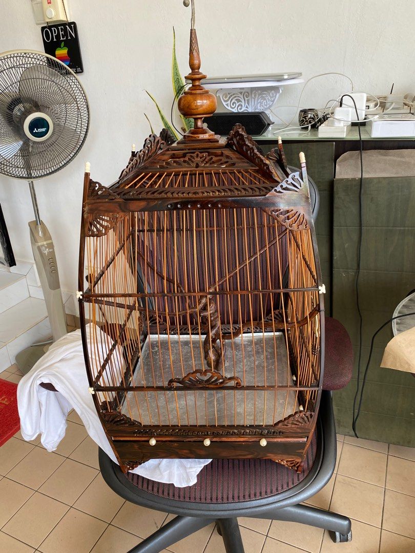 Bird cage Sq cage 15 in with gaya, Pet Supplies, Homes & Other Pet ...