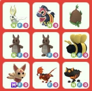 Jungle Egg - Kangaroo - Goldhorn - Lava Dragon - King Bee Adopt Me ...