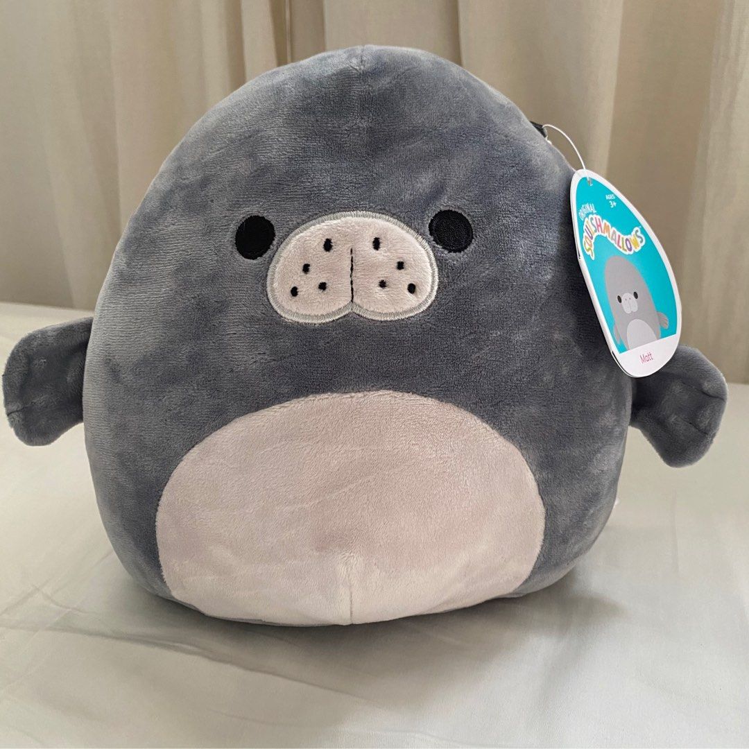 Matt the Manatee 8" Squishmallow, Hobbies & Toys, Toys & Games on Carousell