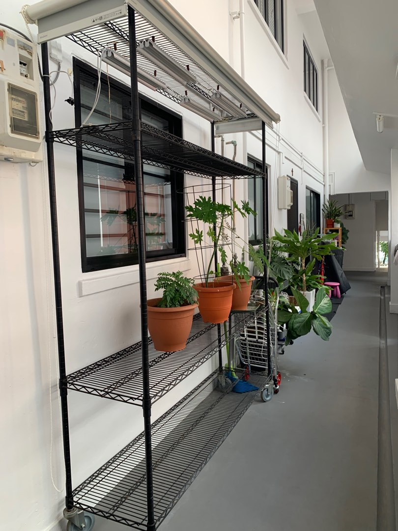 Plant rack, movable, Furniture & Home Living, Gardening, Pots ...