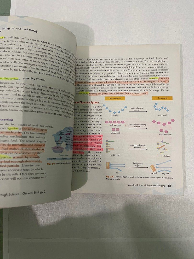 SHS General Biology 2 - Exploring Life Through Science [PHOENIX] on ...