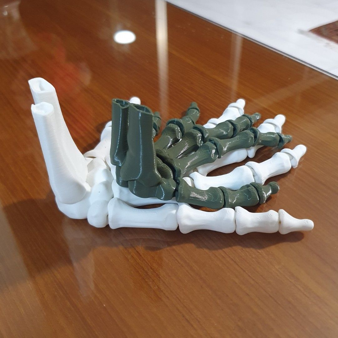 Skeleton Hand Articulated Flexi Cute Toy, Hobbies & Toys, Toys & Games ...