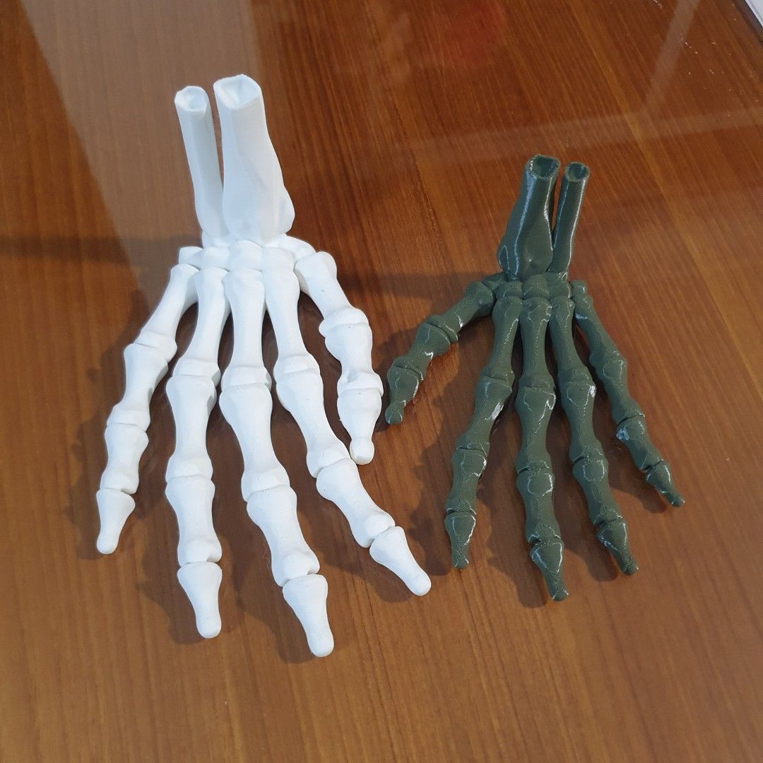 Skeleton Hand Articulated Flexi Cute Toy, Hobbies & Toys, Toys & Games ...