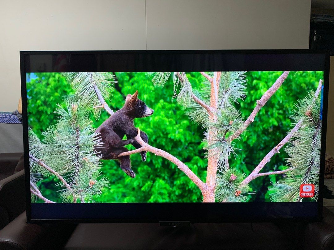 SONY BRAVIA 55,inch, TV & Home Appliances, TV & Entertainment, TV on ...