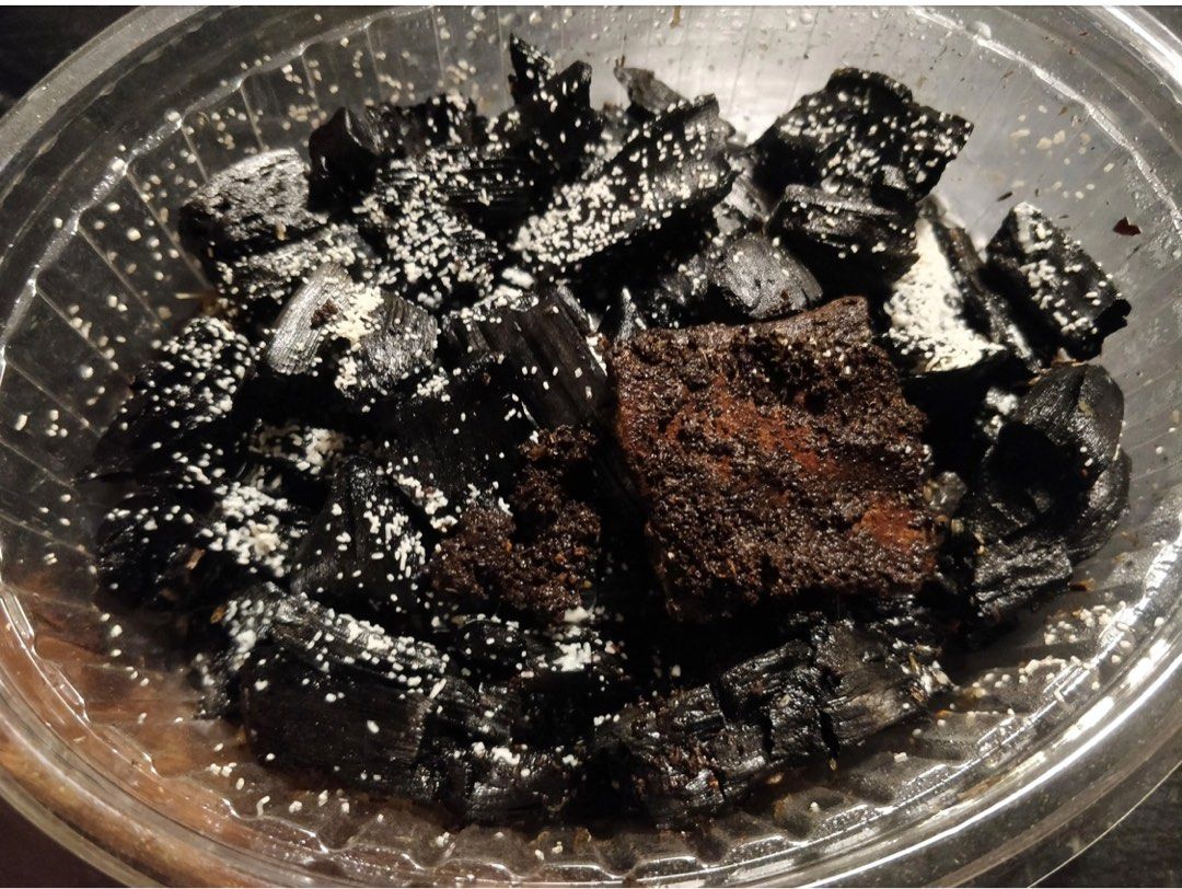 Springtail Culture (100+), Pet Supplies, Pet Food on Carousell