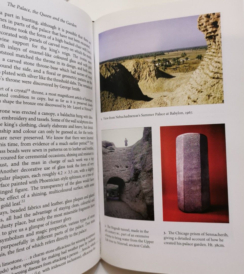 THE MYSTERY OF THE HANGING GARDEN OF BABYLON, Hobbies & Toys, Books ...