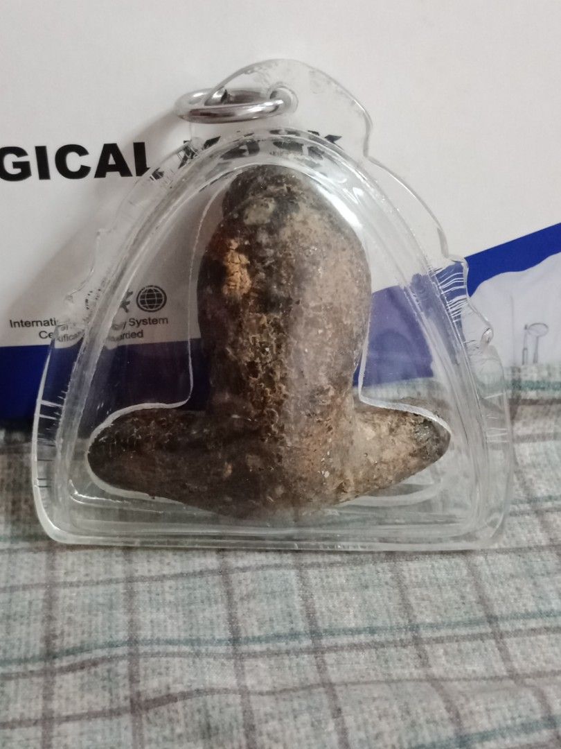 Tok Raja snake skin pidta 2460+, Hobbies & Toys, Memorabilia ...