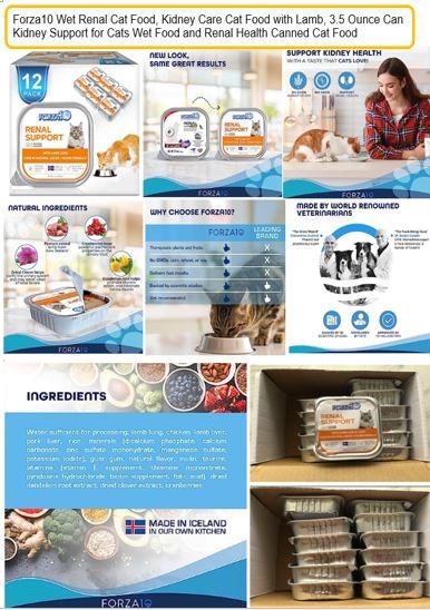 Forza10 Wet Renal Cat Food, Kidney Care Cat Food with Lamb, 3.5 Ounce Can Kidney Support for ...